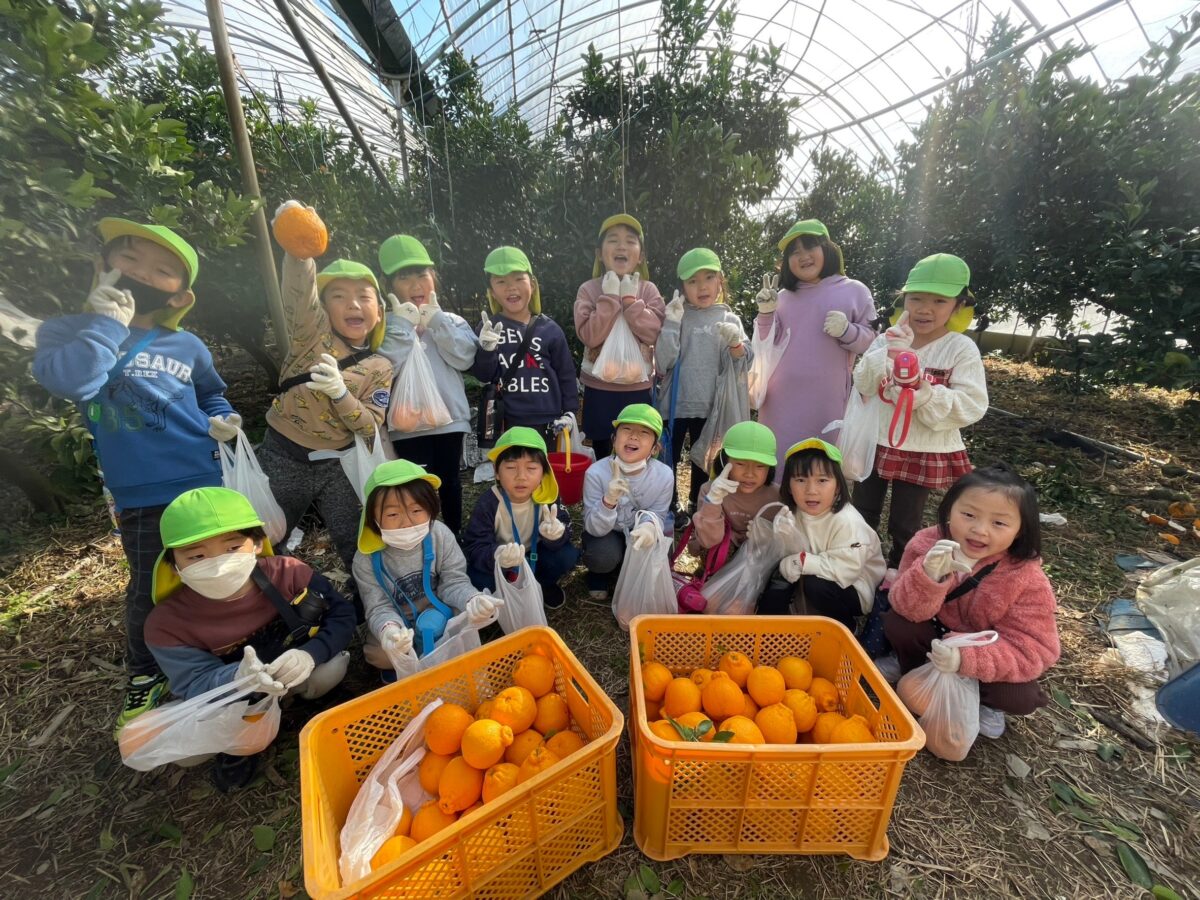 みかんを収穫！（ゆり） - 社会福祉法人 将友会